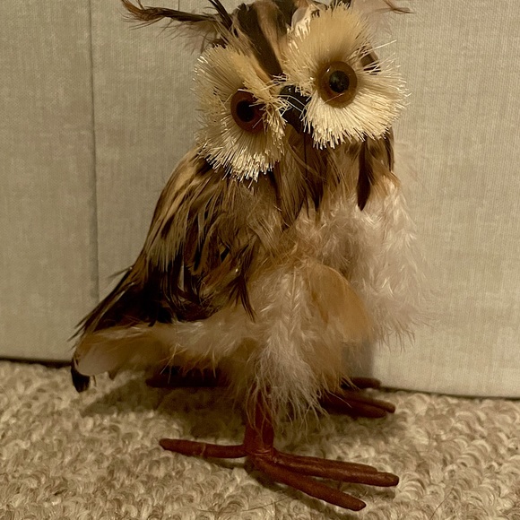 Other | Small Feathered Owl Replica | Poshmark